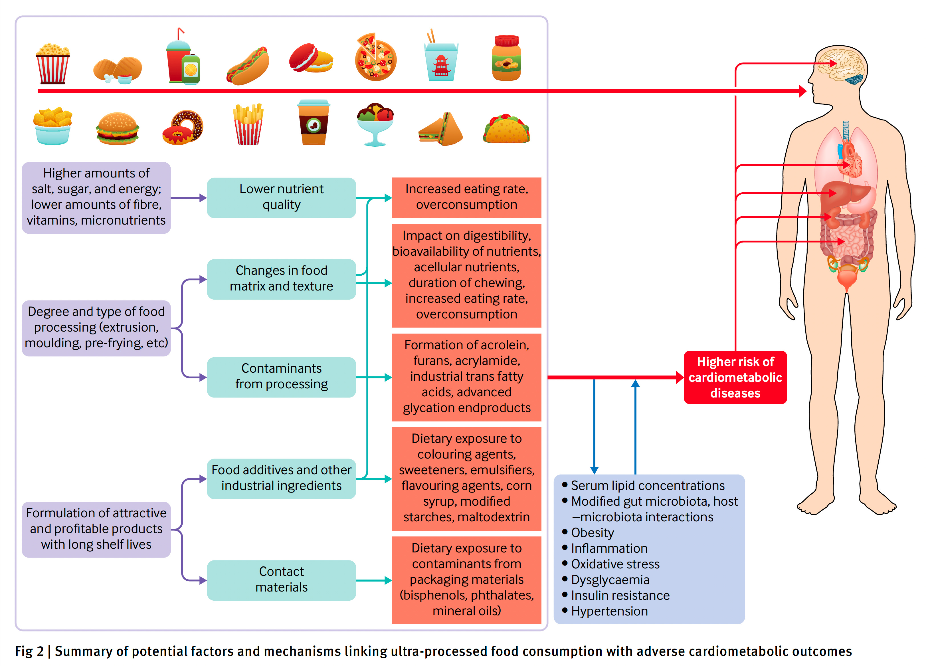 The Science Behind Food and Dangers of Ultra-Processed, Artificial, Non-Food with Dr. Chris Van ...
