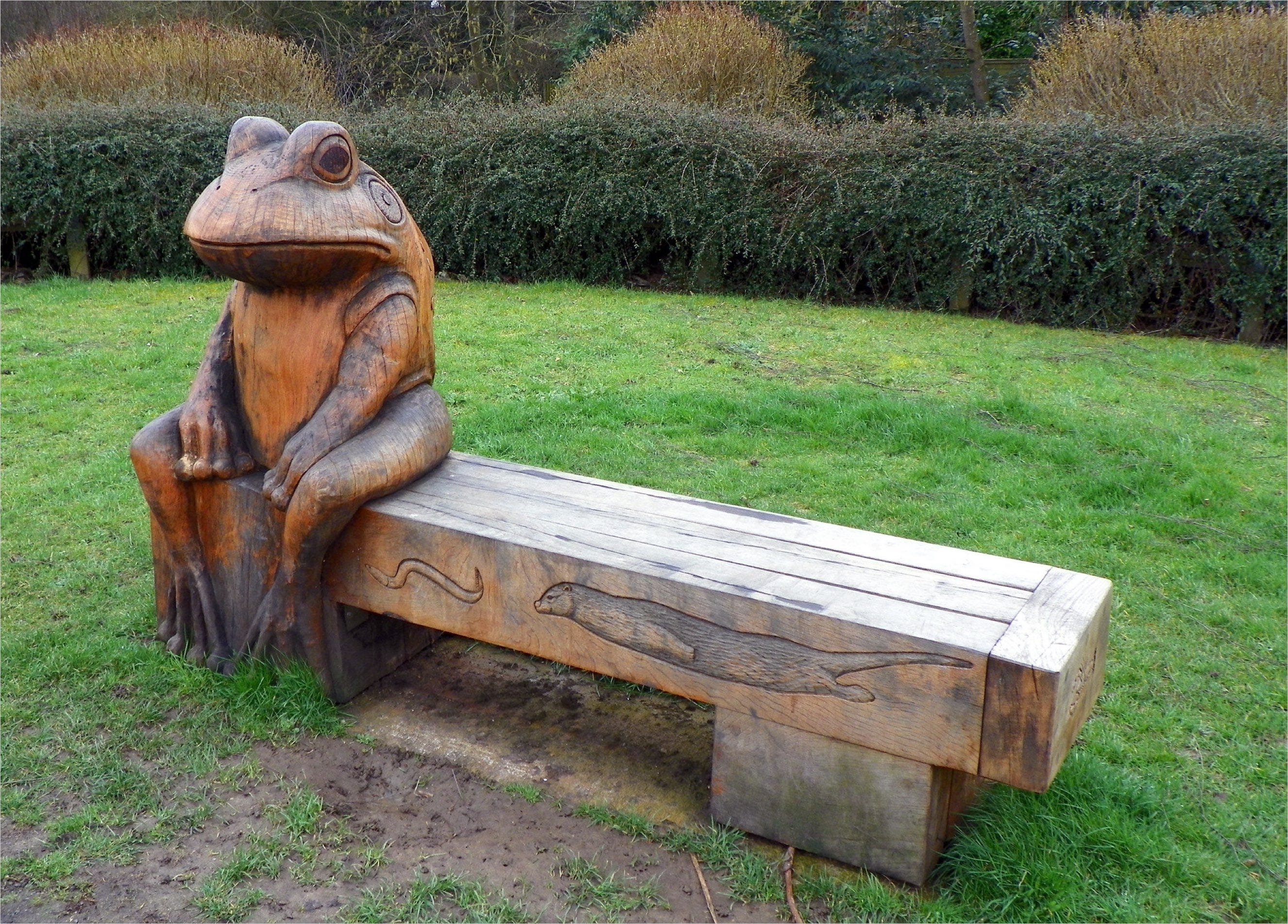 Trump turned the frogs gay - by Steve Berman