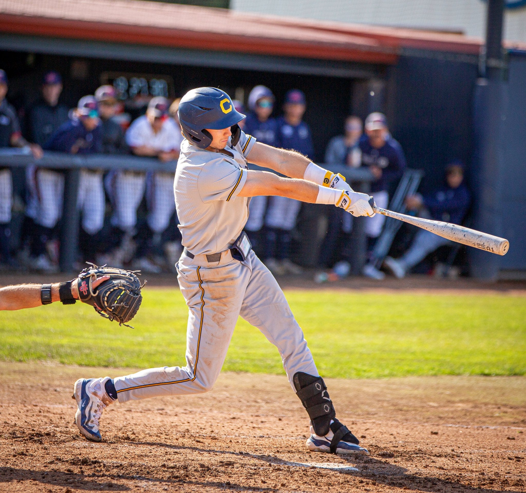 Cal Baseball: Cade Campbell's 5-Hit Game Leads Bears to Victory Against ...