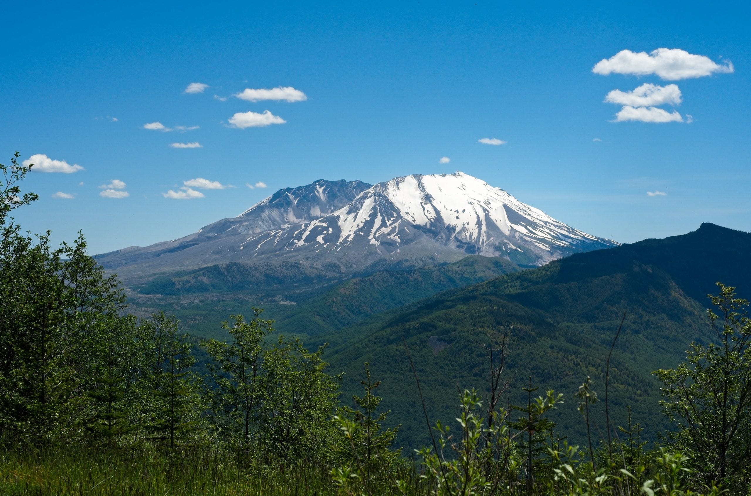 How gophers and fungi revived Mount St. Helens