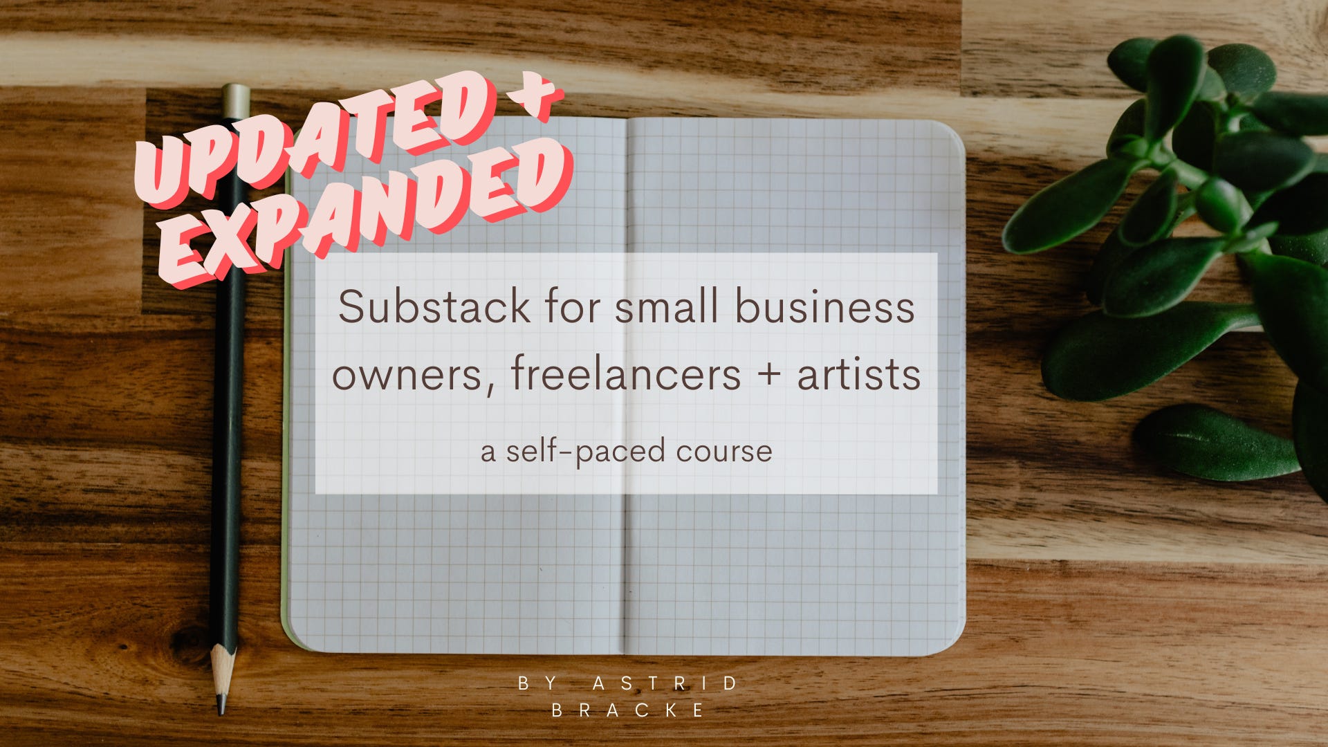 I revamped my bestselling Substack for small business course 🎉