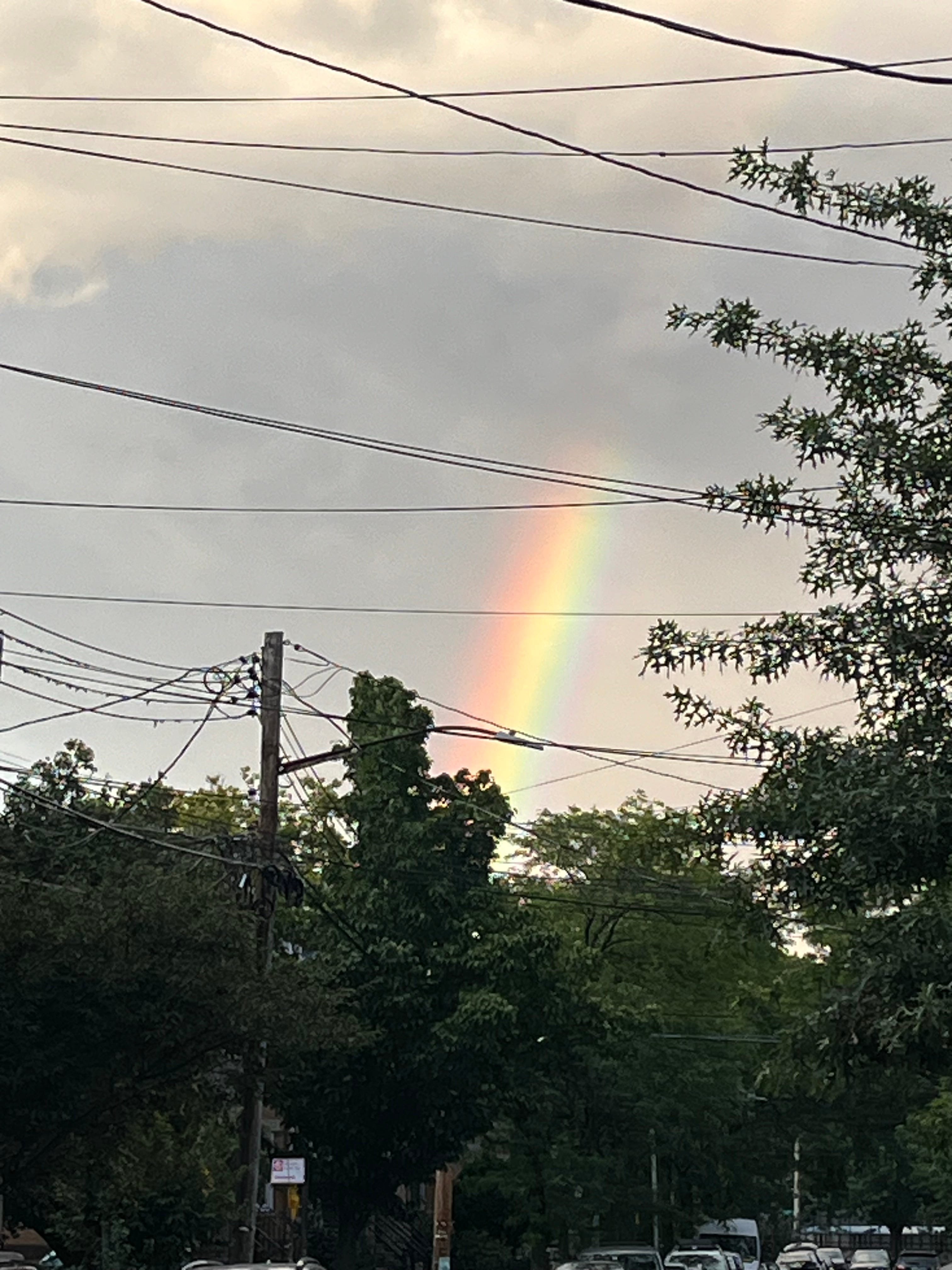 The mixed climate messaging from Albany