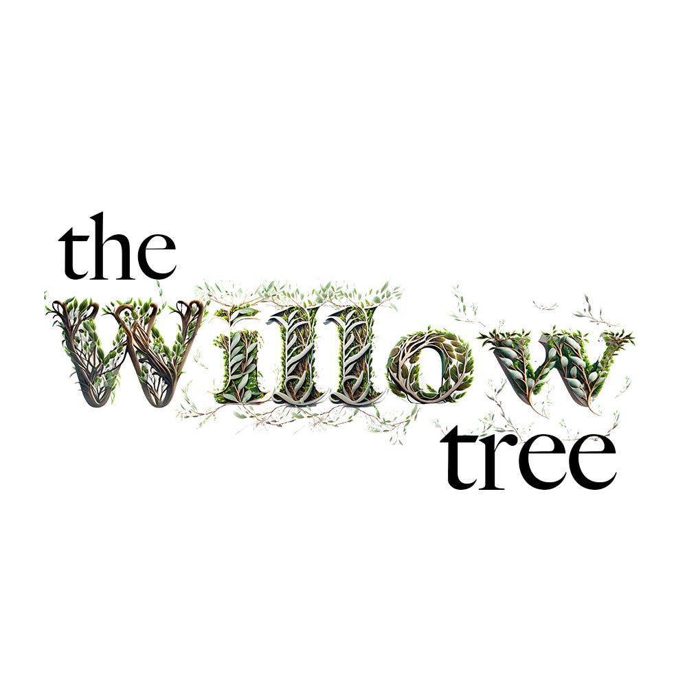 The Willow Tree | Substack