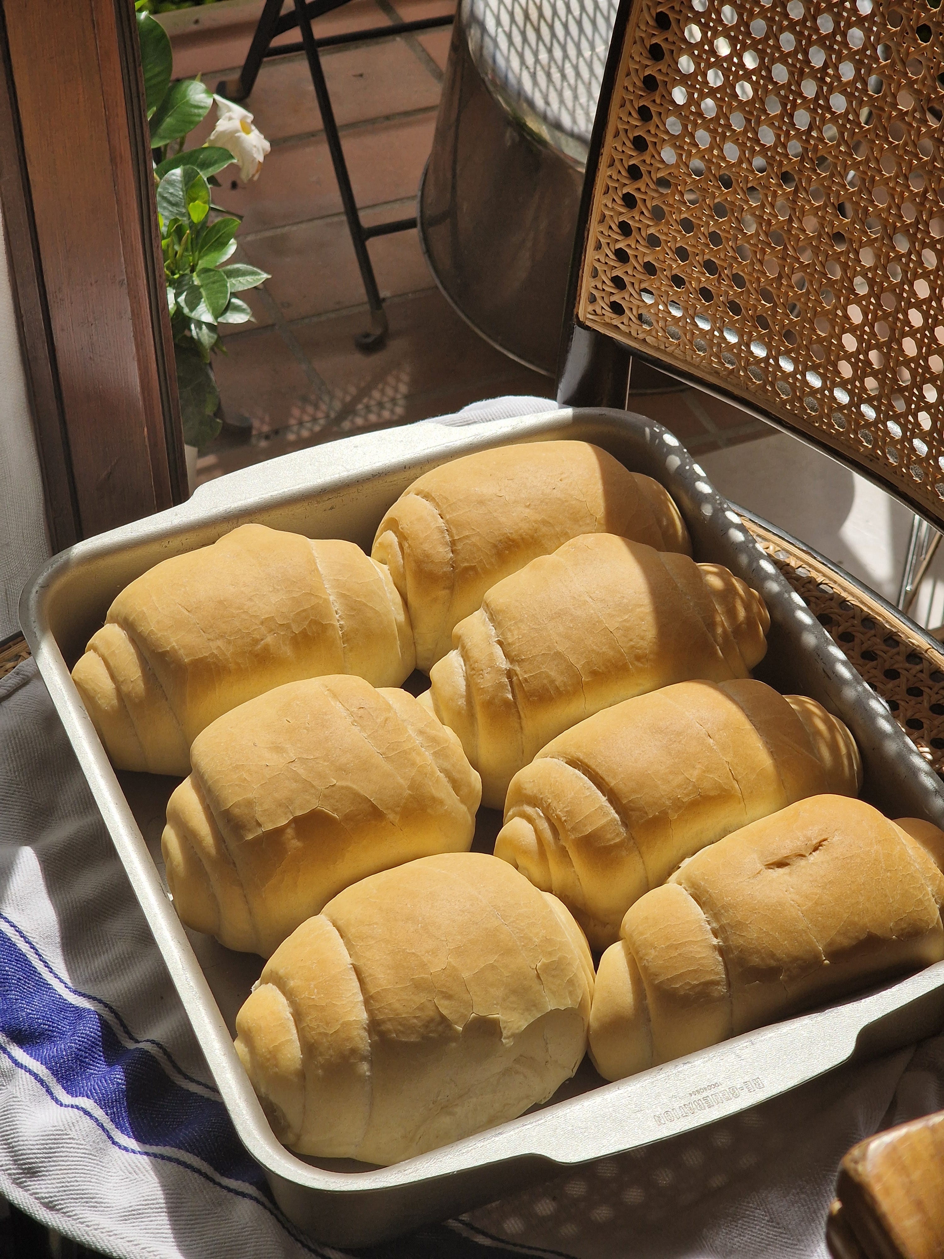 Pillowy Venetian Buns - Dash of Prosecco