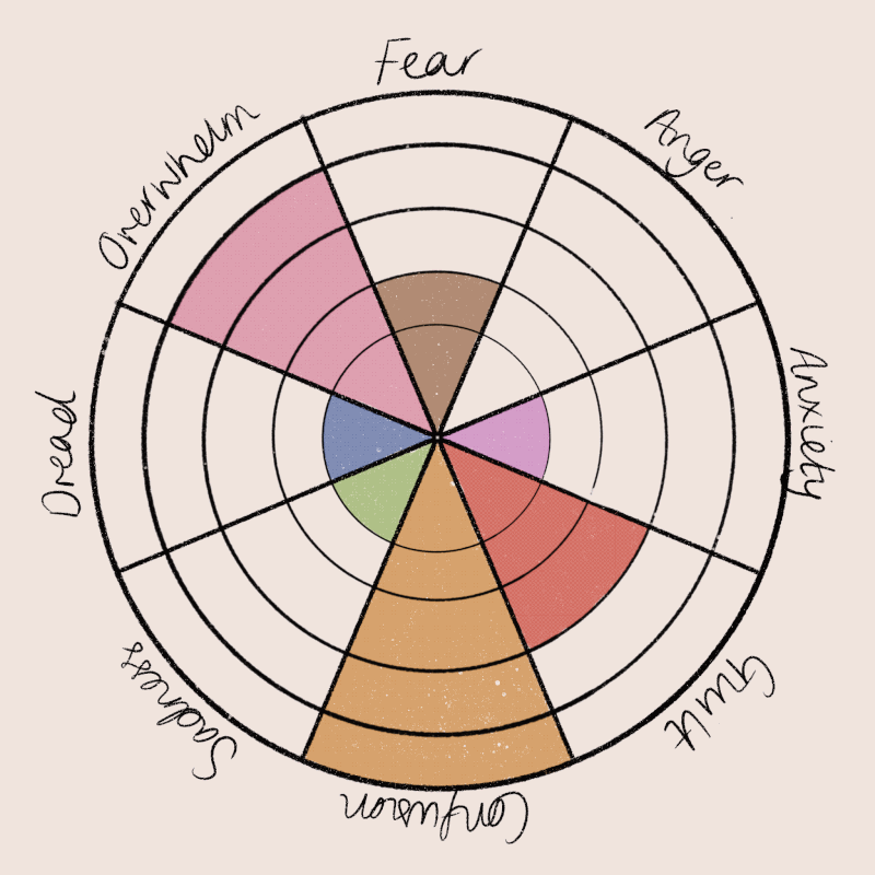 What Teachers And Parents Need To Know About Climate Emotions
