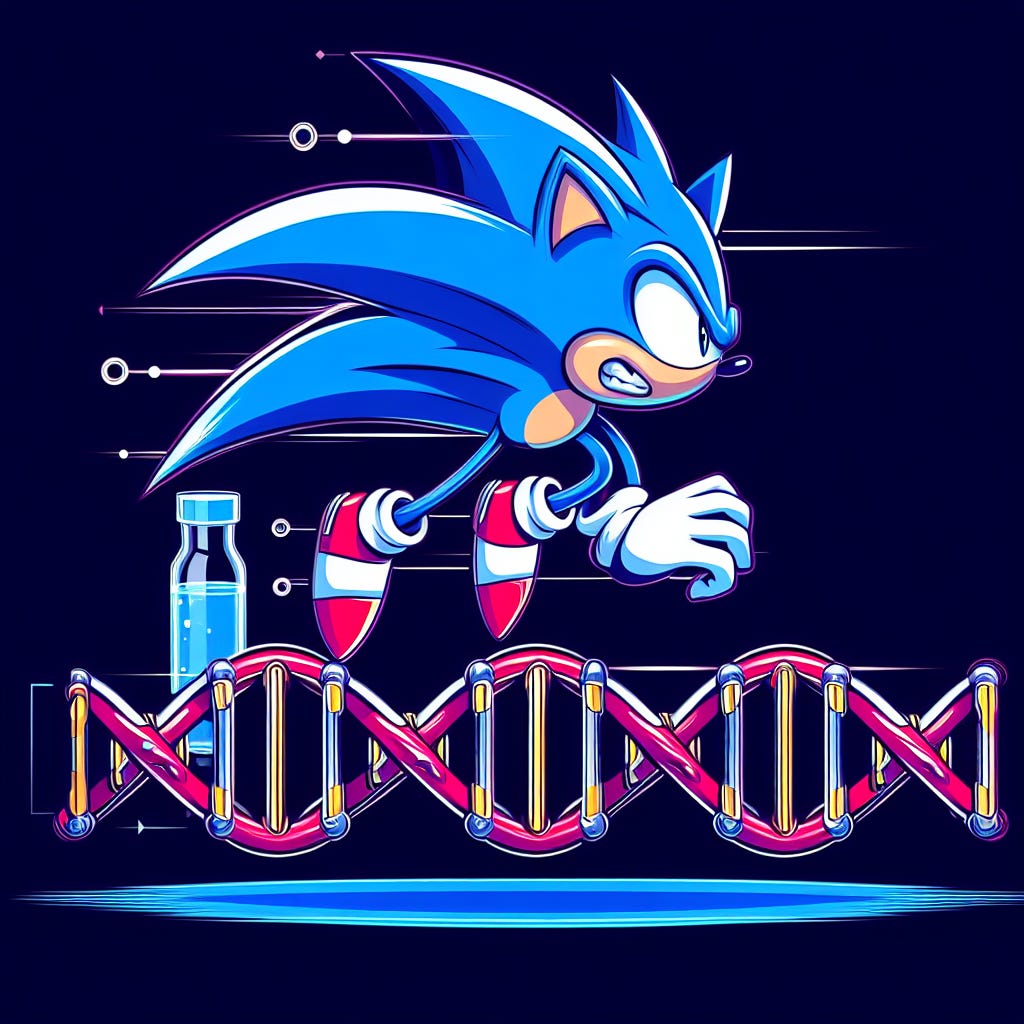 Is Sonic Hedgehog genetic? - by Stephanie Bridgeman