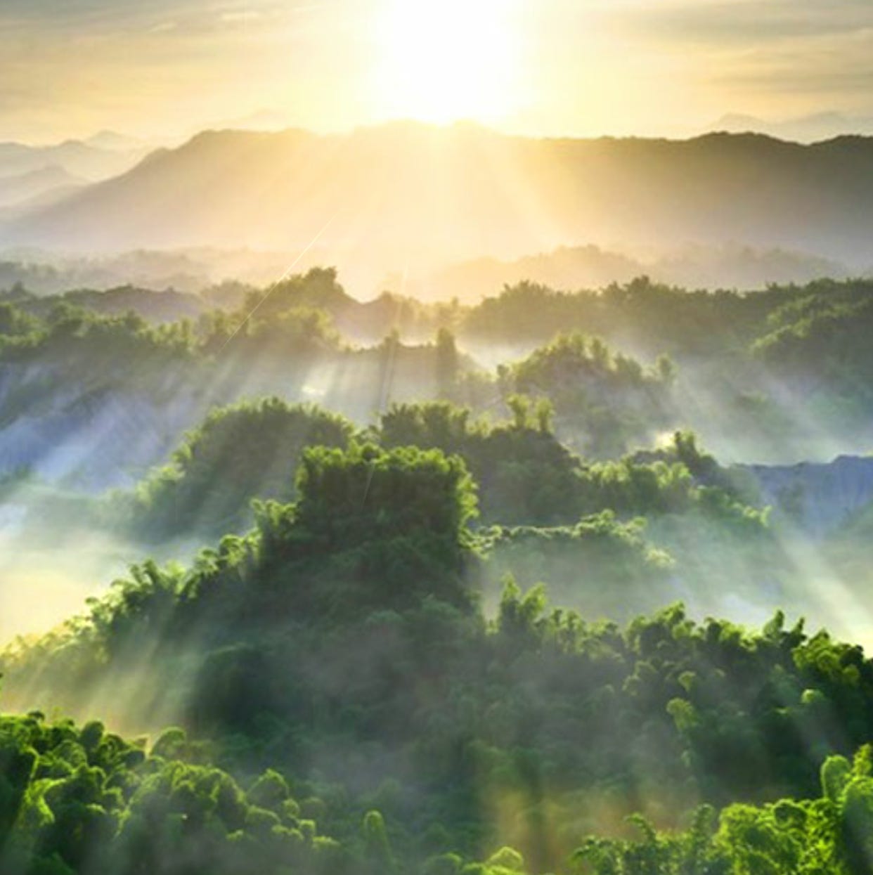 "Us." - Sea’s Substack