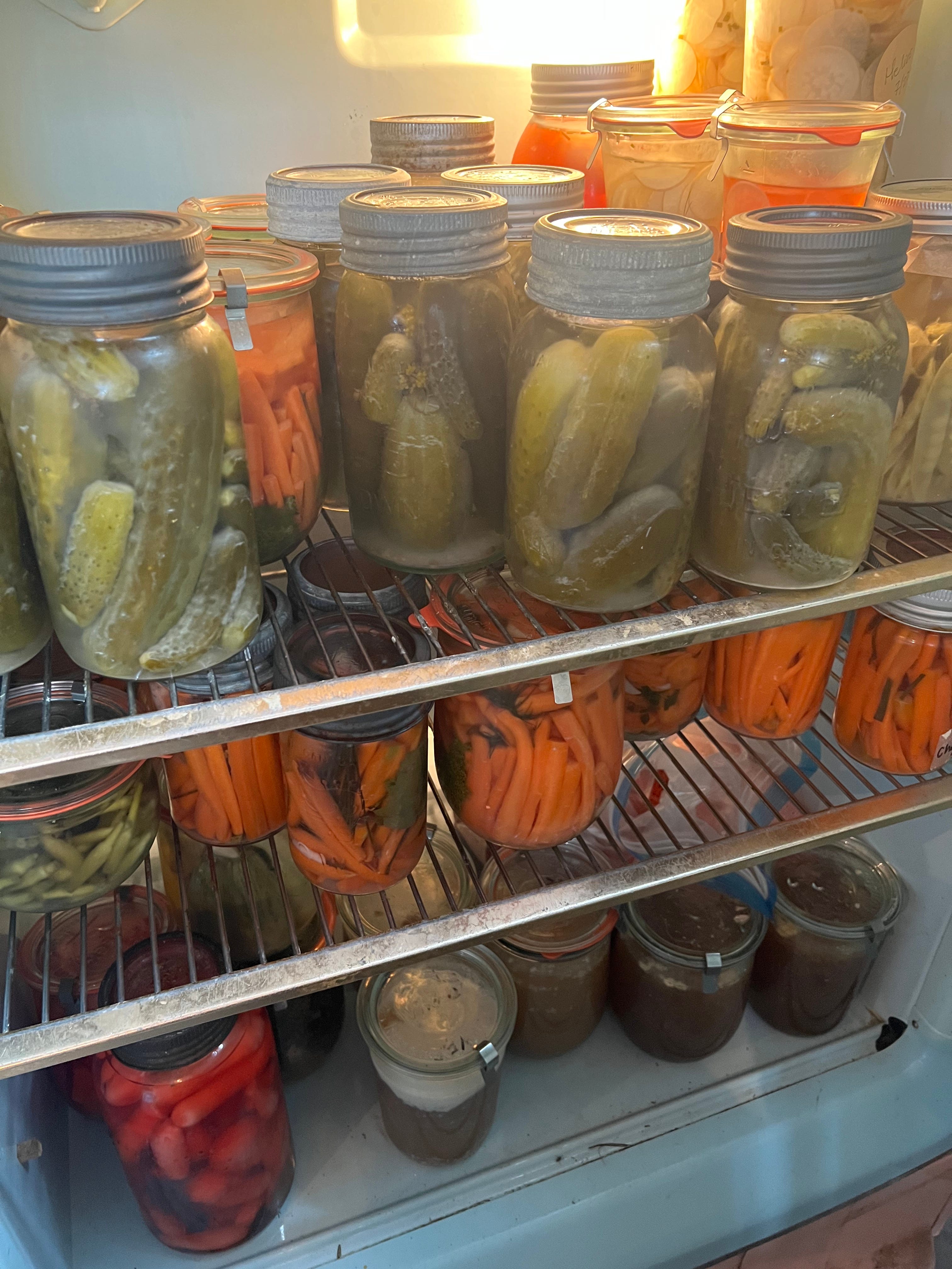 fermenting vs. canning - by Tara - Slowdown Farmstead