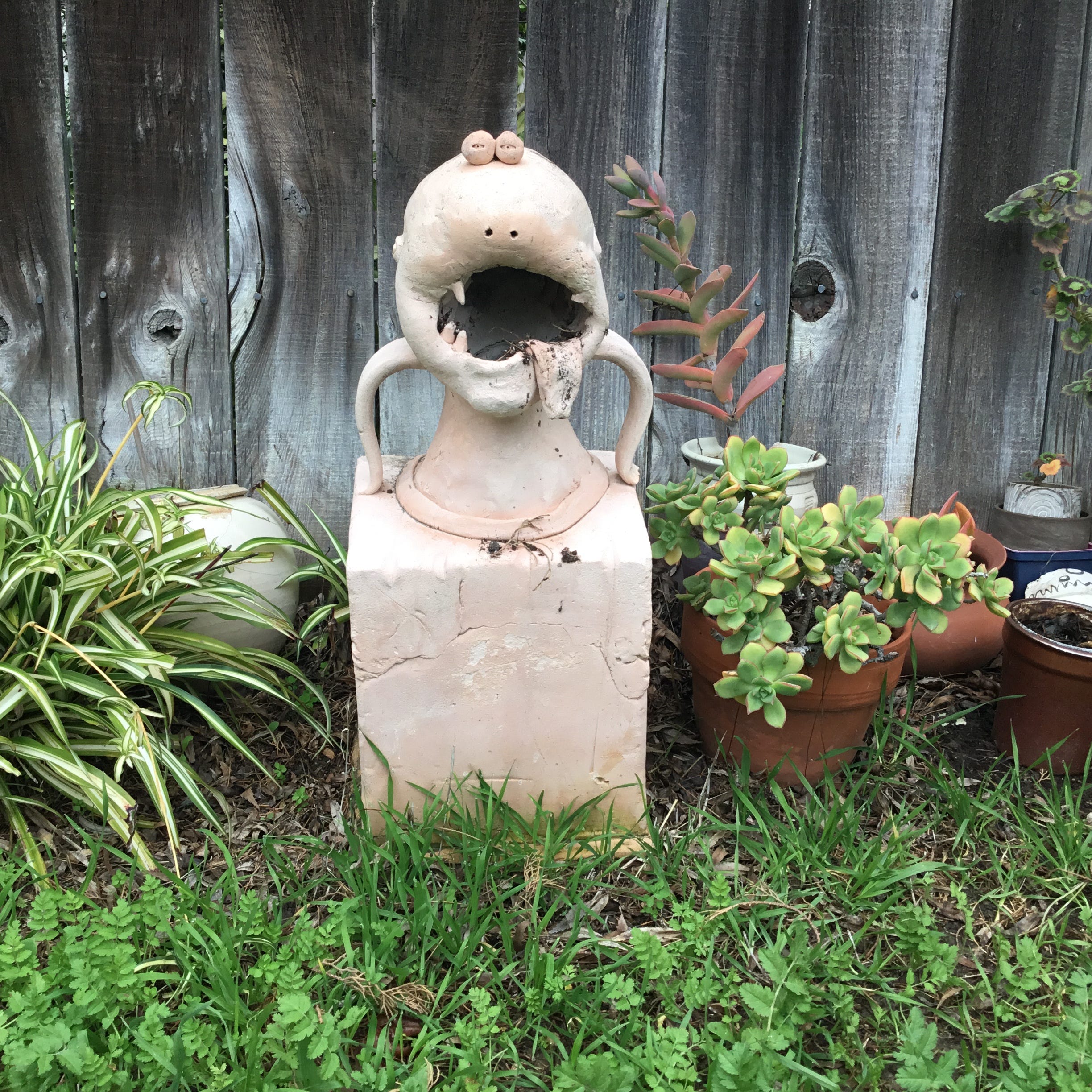 Home - by Rosa Fallon - Rosa’s Substack