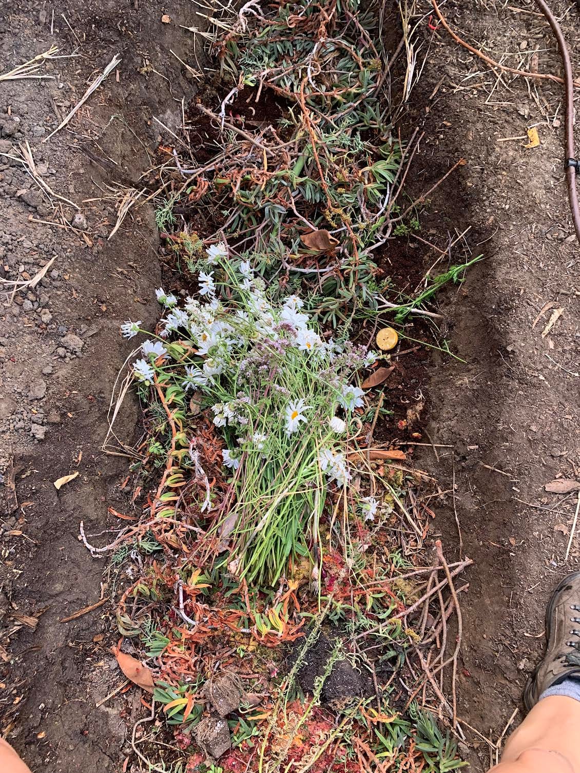 What keeps us from rotting? - by cass marketos - The Rot