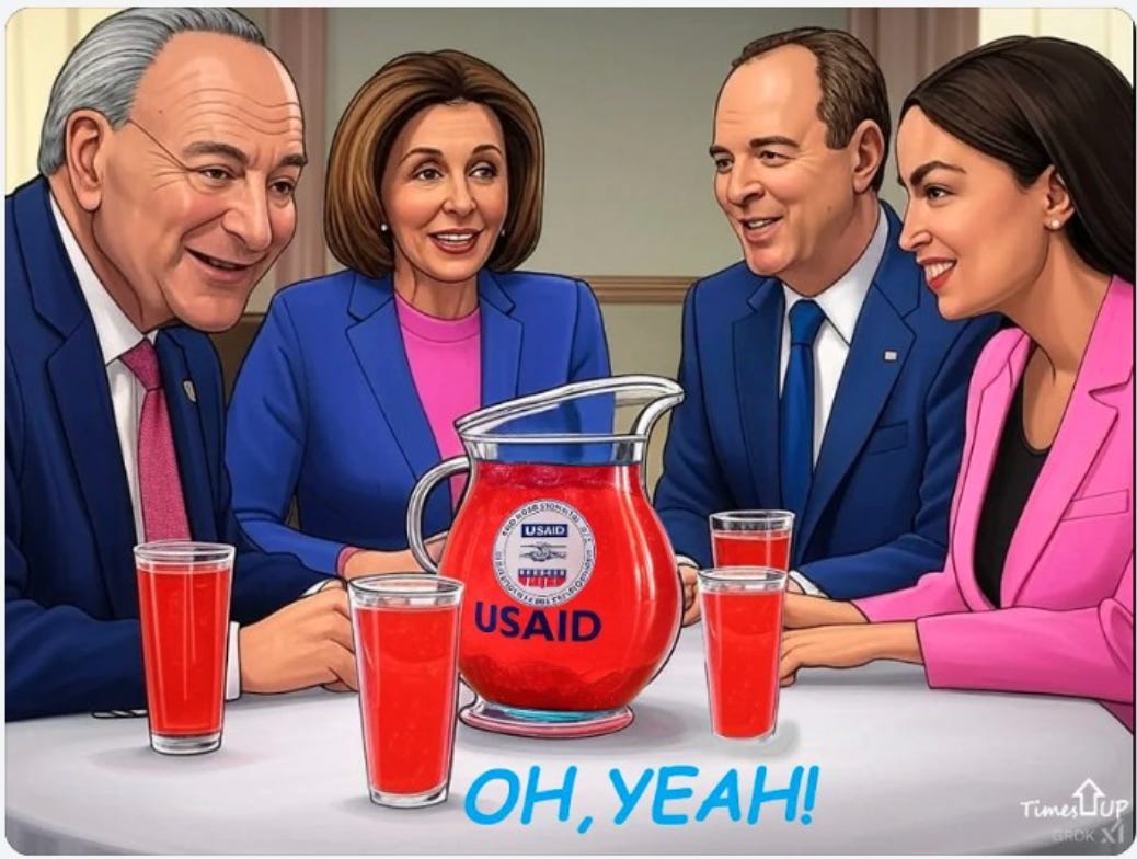 Sunday Strip: The Platypus Conspiracy – Another fact check down the drain. [Nie bój się ! MEMY ...