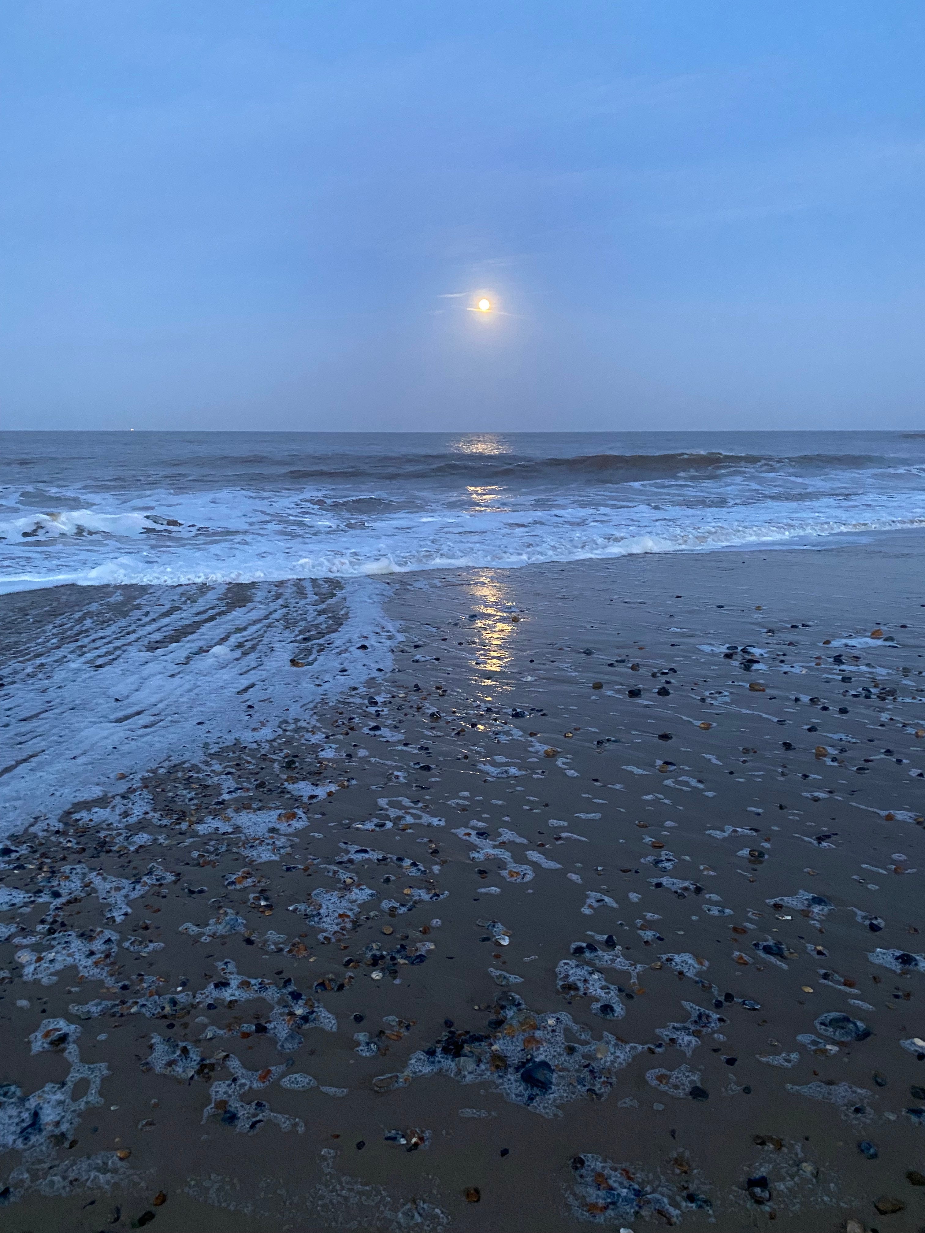 Spring's Door - by Imogen Ashwin - Bracken & Wrack