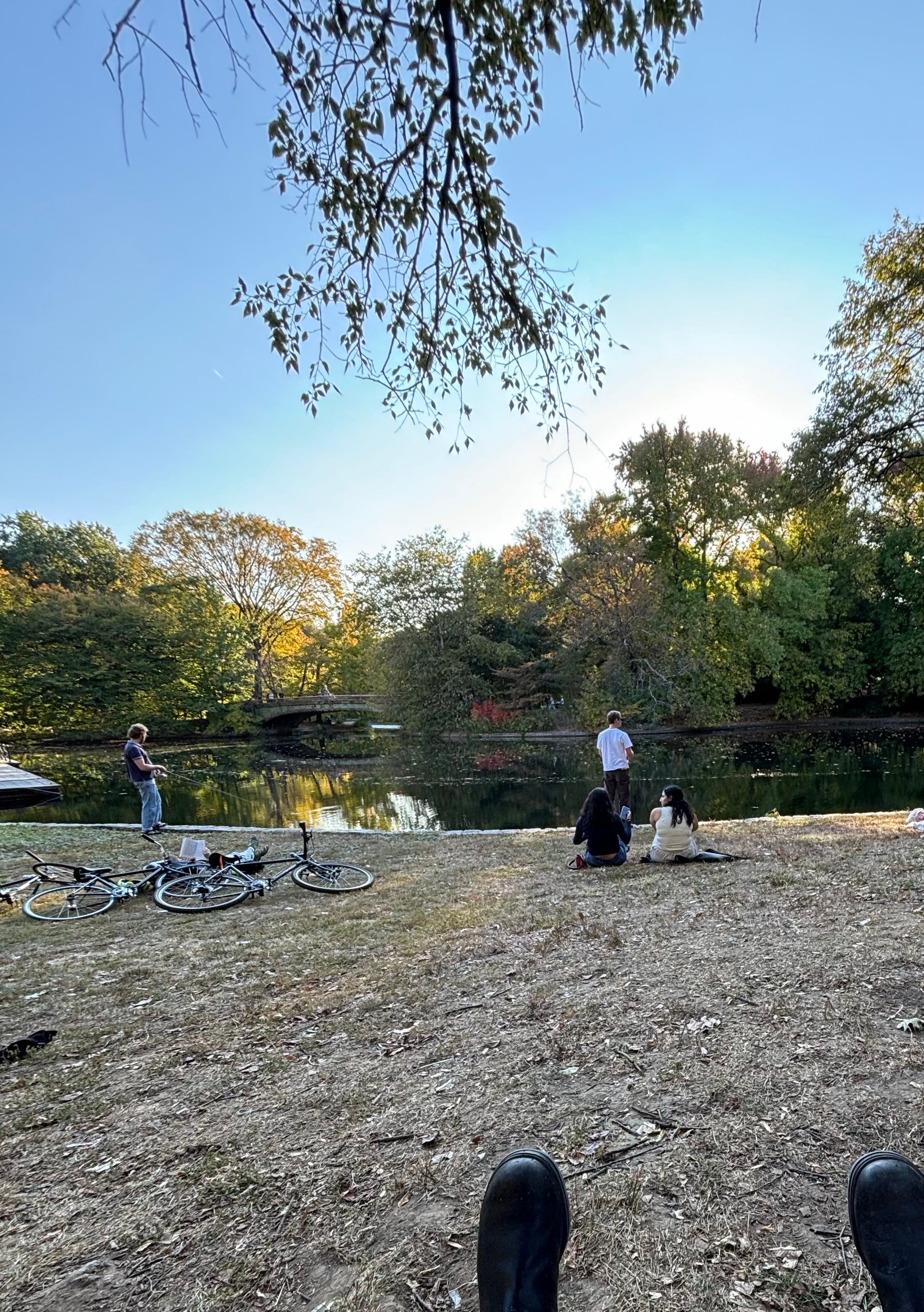 Take a chance on me - by Rosabel - ANYWAY!