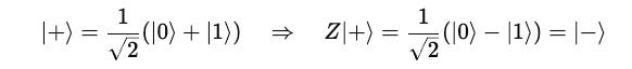 A Lesson On Pauli Matrices As Quantum Gates