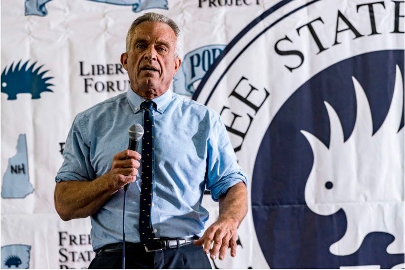 I'M A KENNEDY DEMOCRAT - by Michelle Rabin Ph. D.