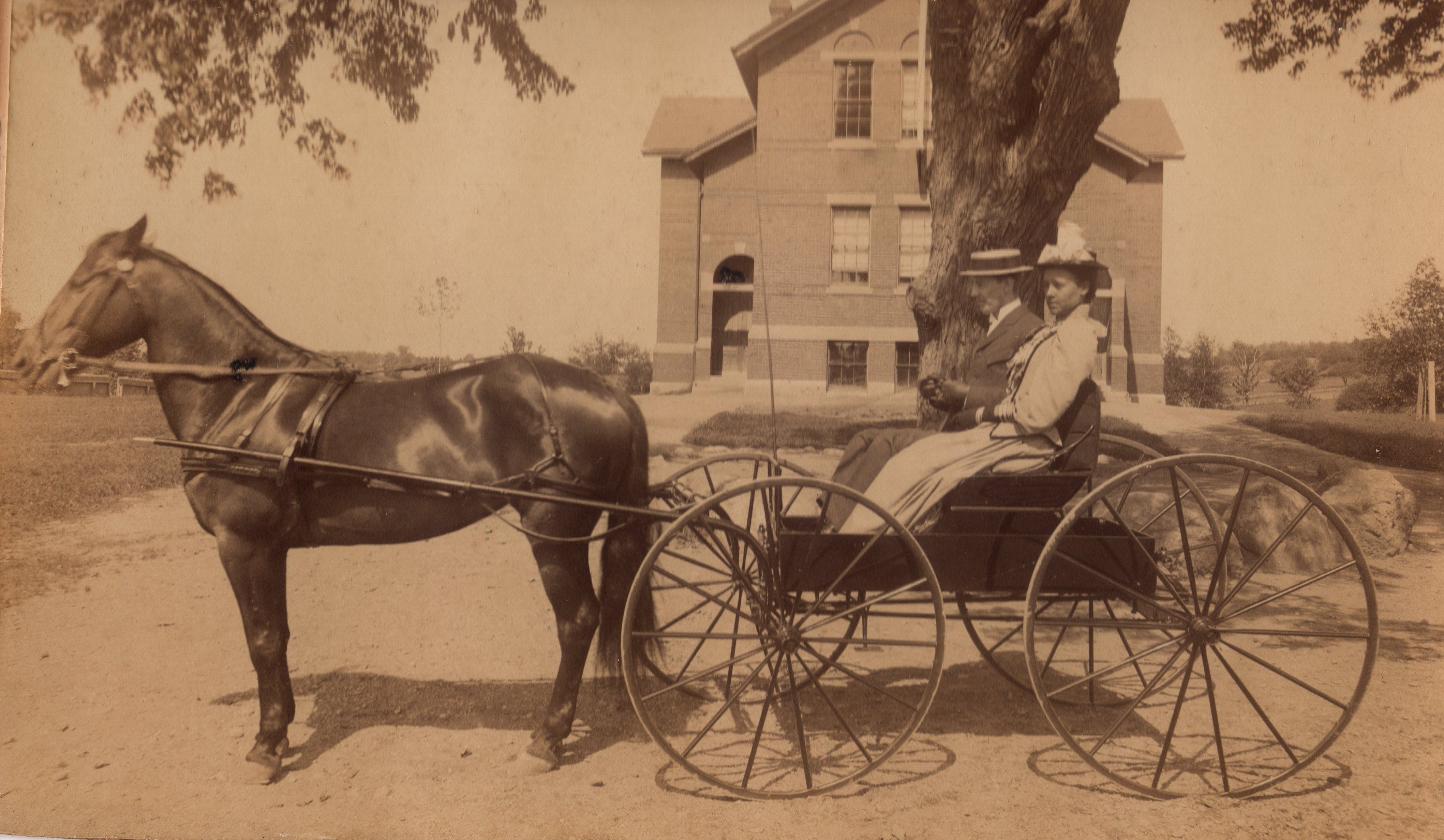 Carriage painting - by Elaine Clements - History Buzz