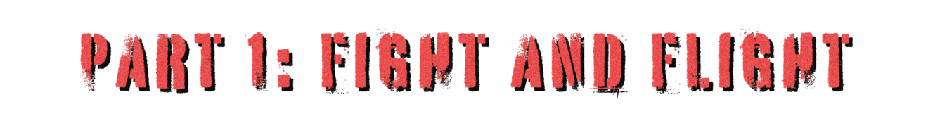 The Invisible Boy Who Became Mr. Invincible