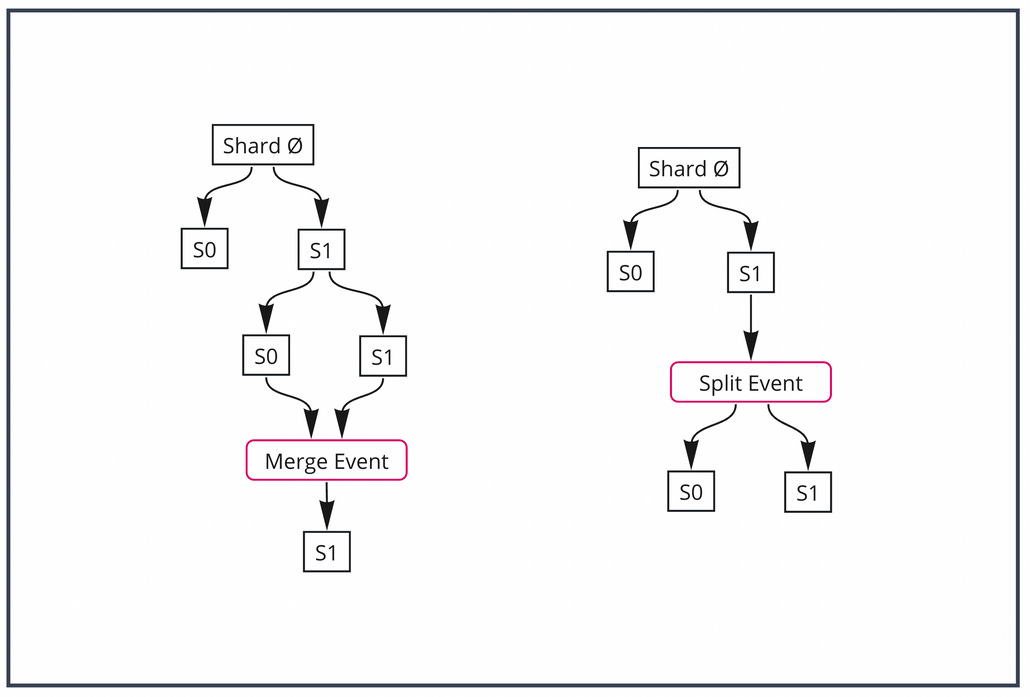 Tìm hiểu về cấu trúc Dynamic Sharding của Venom Blockchain