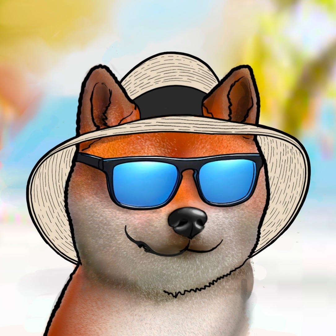 Bart Nijman | Substack