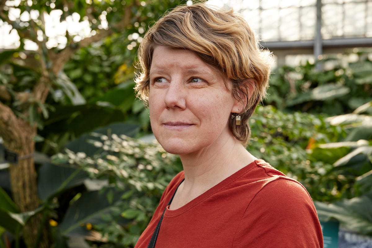 Heidi Haverkamp | Substack