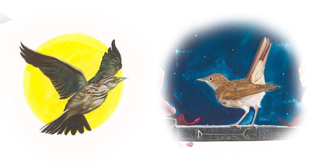 #13 The Nightingale - by Missy Dunaway