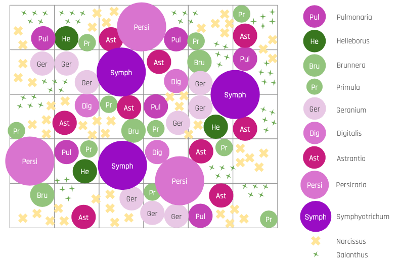 How to plan a contemporary border with matrix planting design