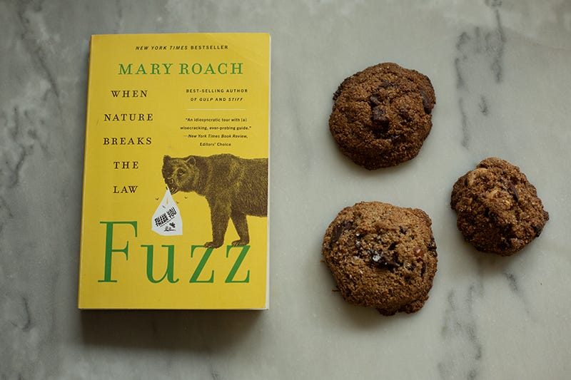 Whole Wheat Chocolate Chip Cookies & Fuzz