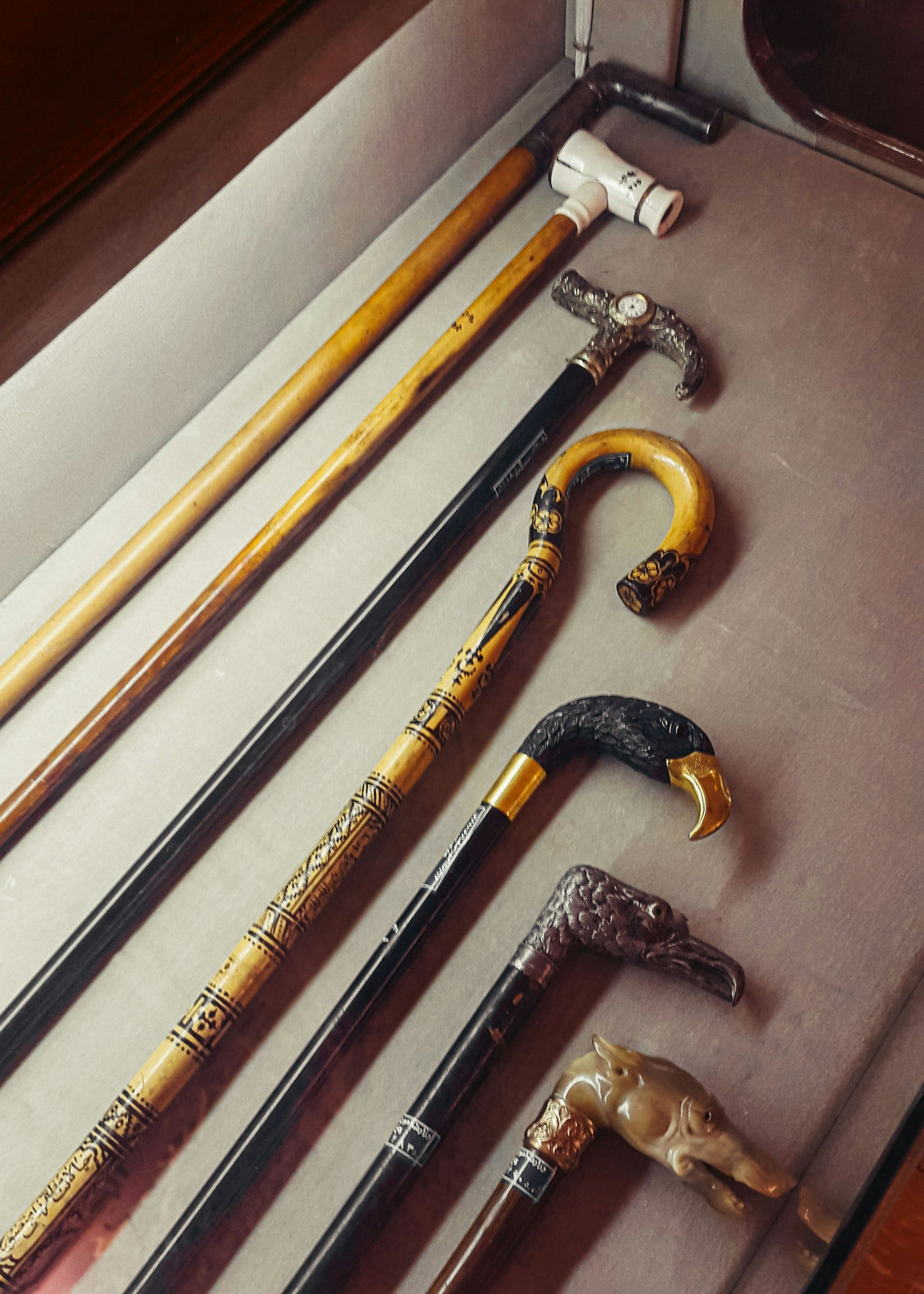 The Charisma of Kamala Harris & Tim Walz Joy