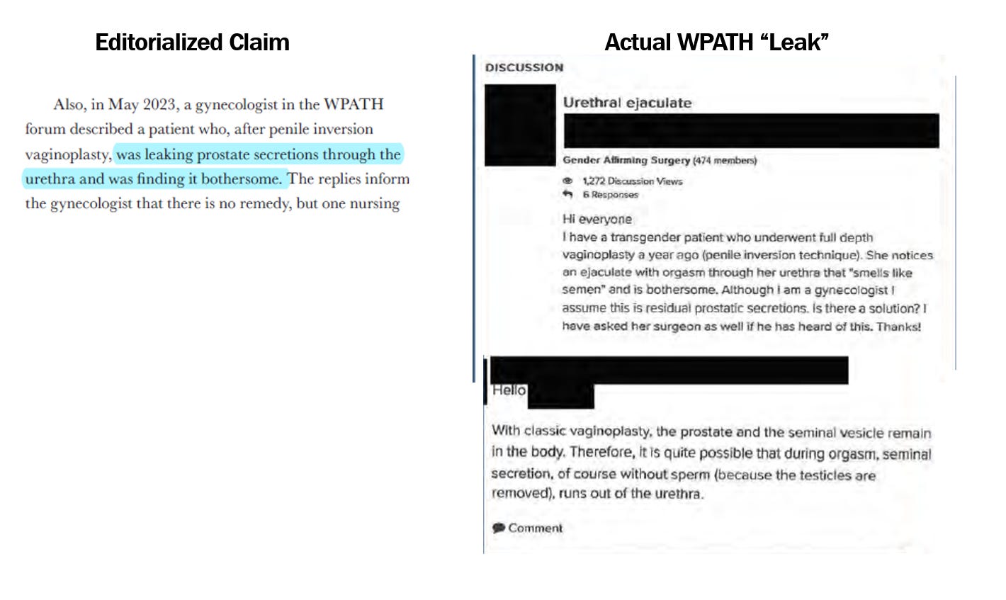 Fact Check: 216 Instances Of Factual Errors Found In Right-Wing "WPATH ...