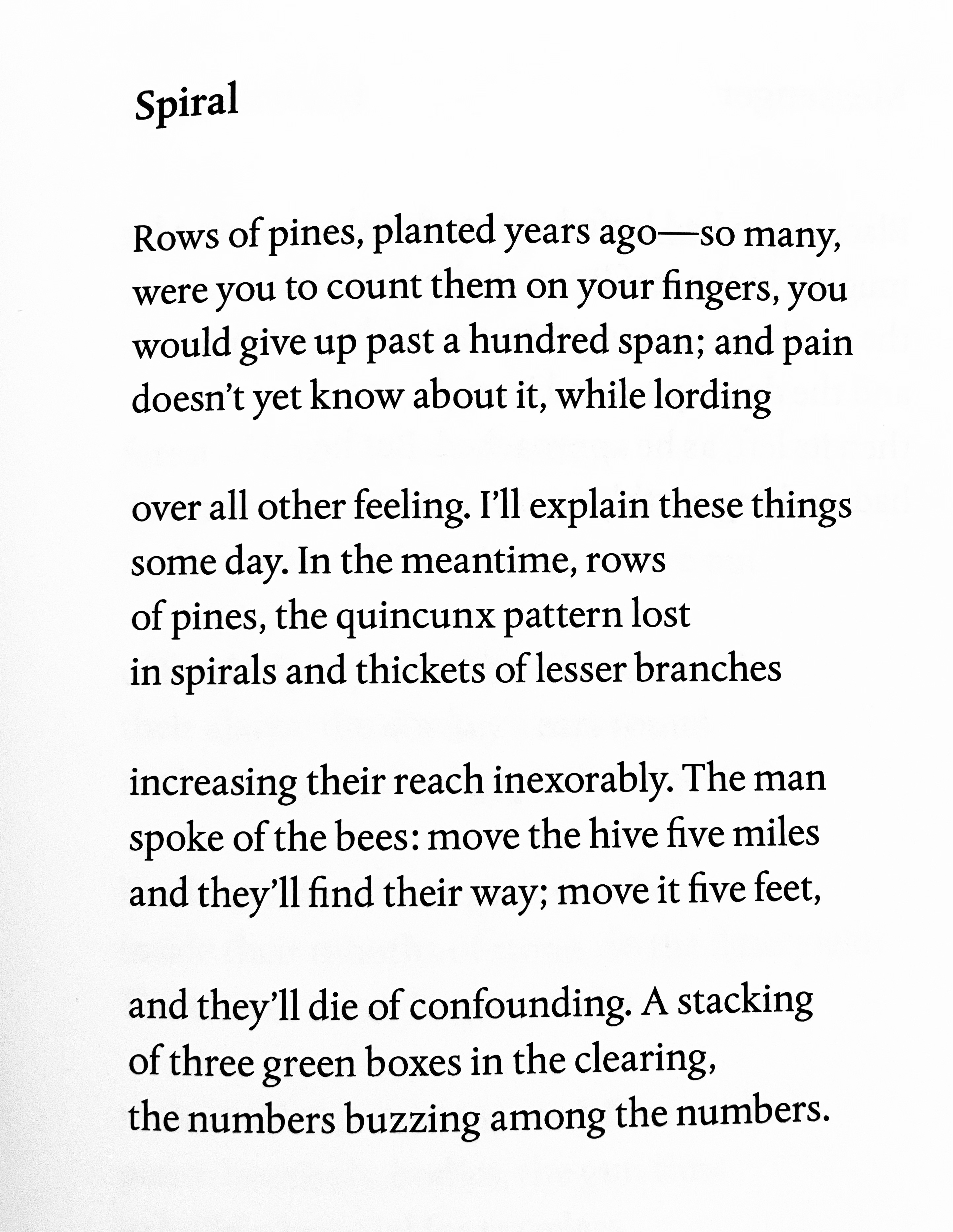 Remembering Saskia Hamilton - by Maya C. Popa