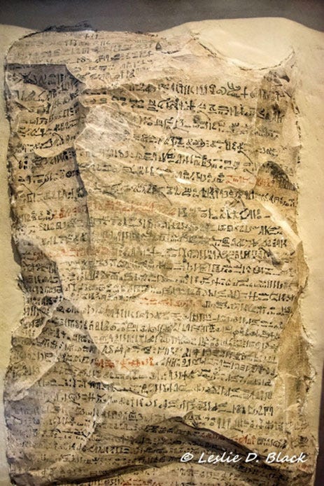 Scribes in Egypt: Brilliant Practitioners of the Outstanding Profession ...