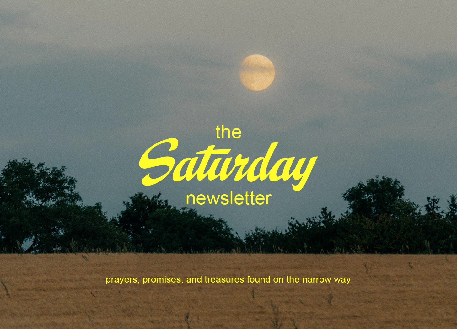 TSN #6: The Word Became Flesh - by IN THE UPCOMING