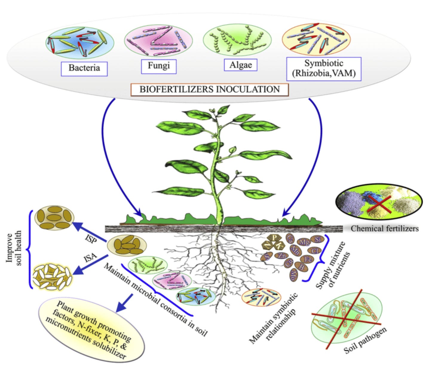 Top 10 Most Impactful Bioproducts - by Nate Crosser