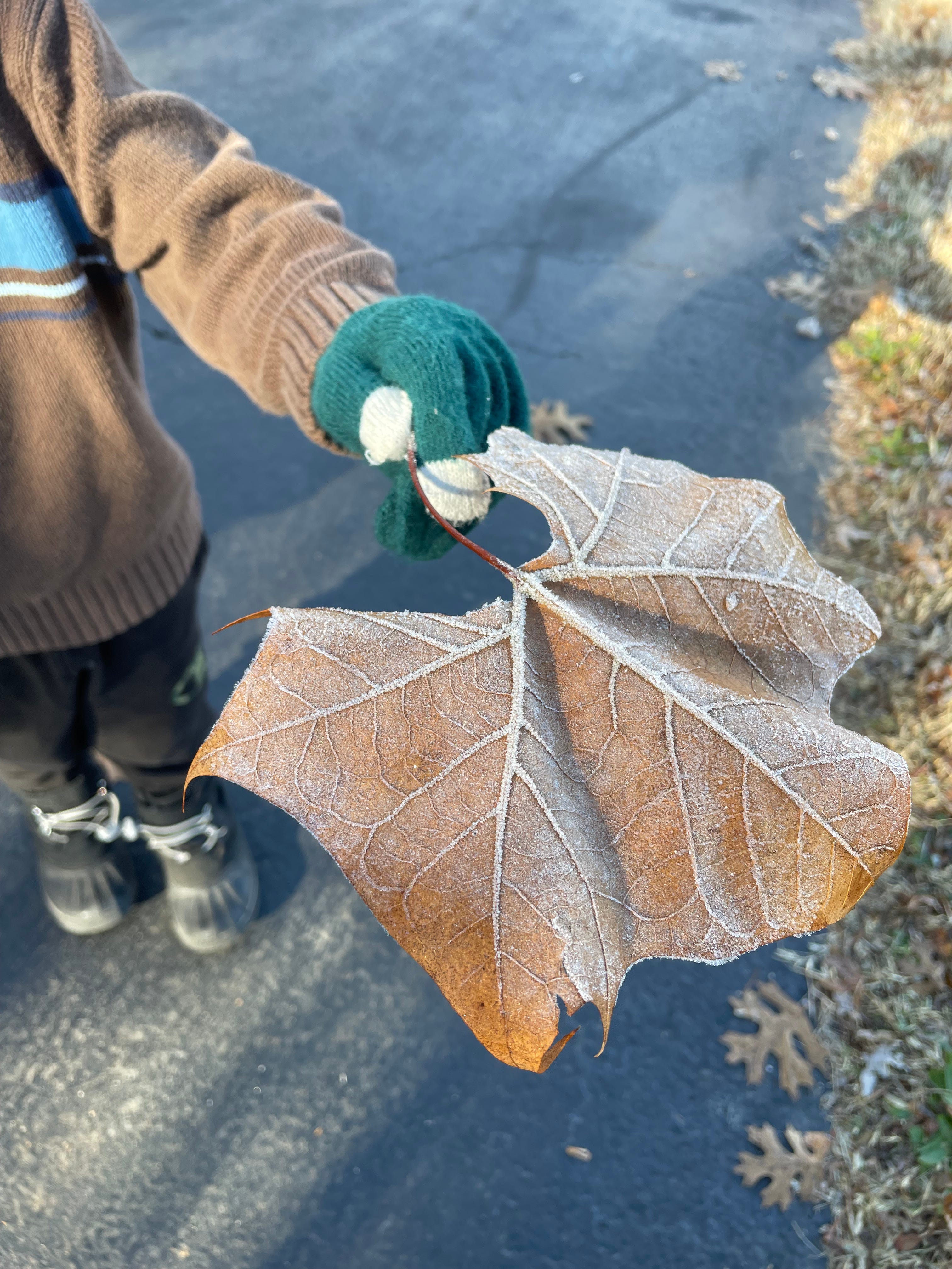 Giving Thanks and Facing Fear - by April Kehrer