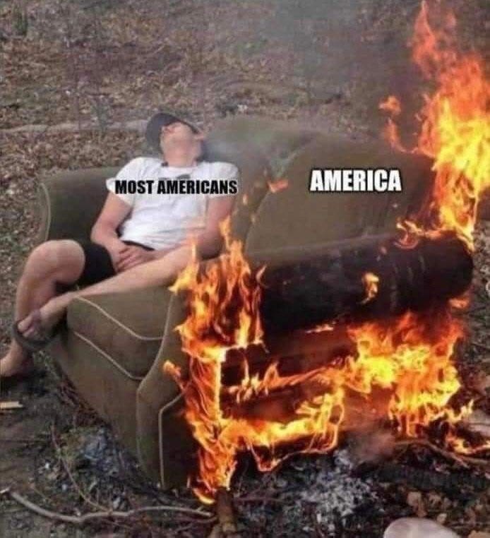 Ann Barnhardt - Edwin’s Newsletter #1