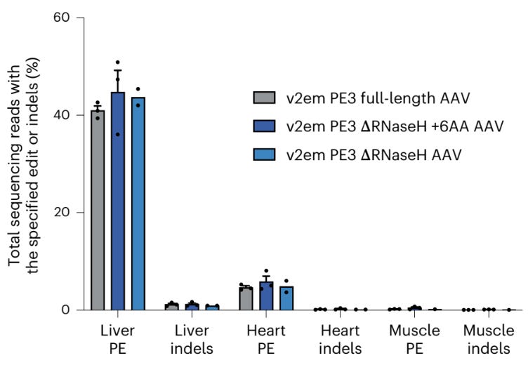Monkey Embryos Grow to 25 Days — No Womb Required