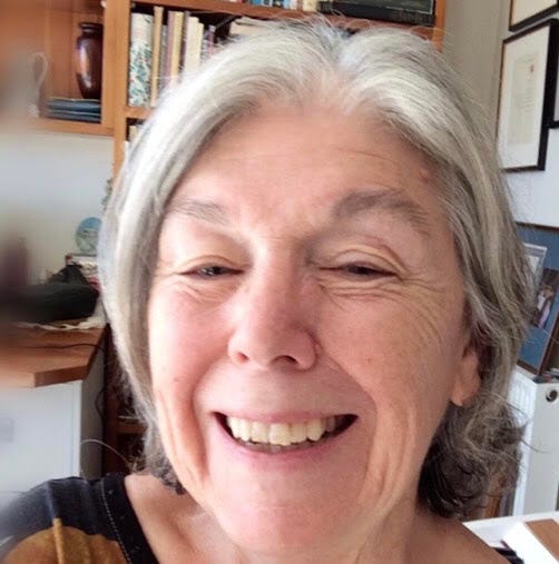 Ann Smith aka Professor Zero | Substack