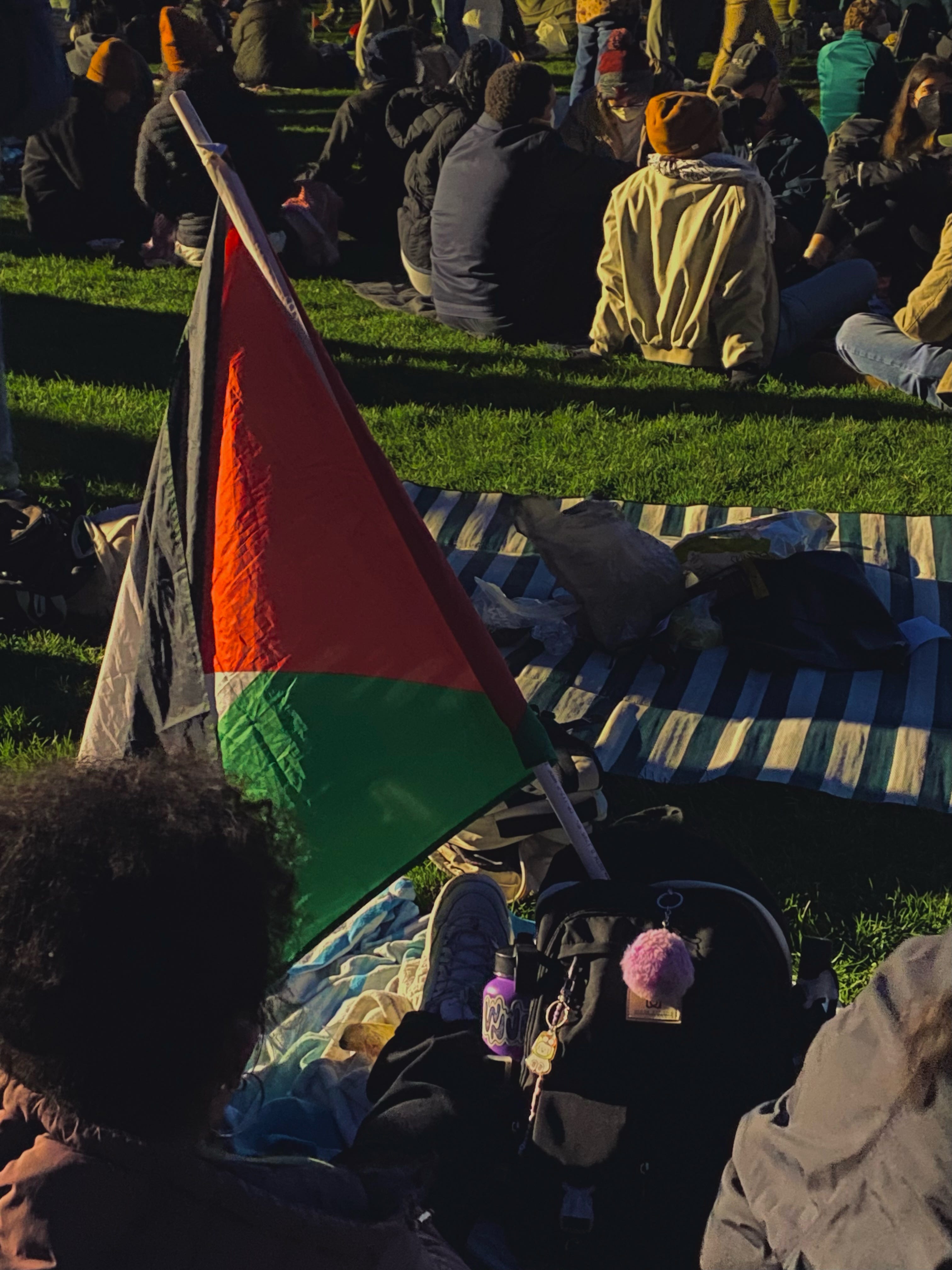 The BluePrint - Jackattack’s Substack