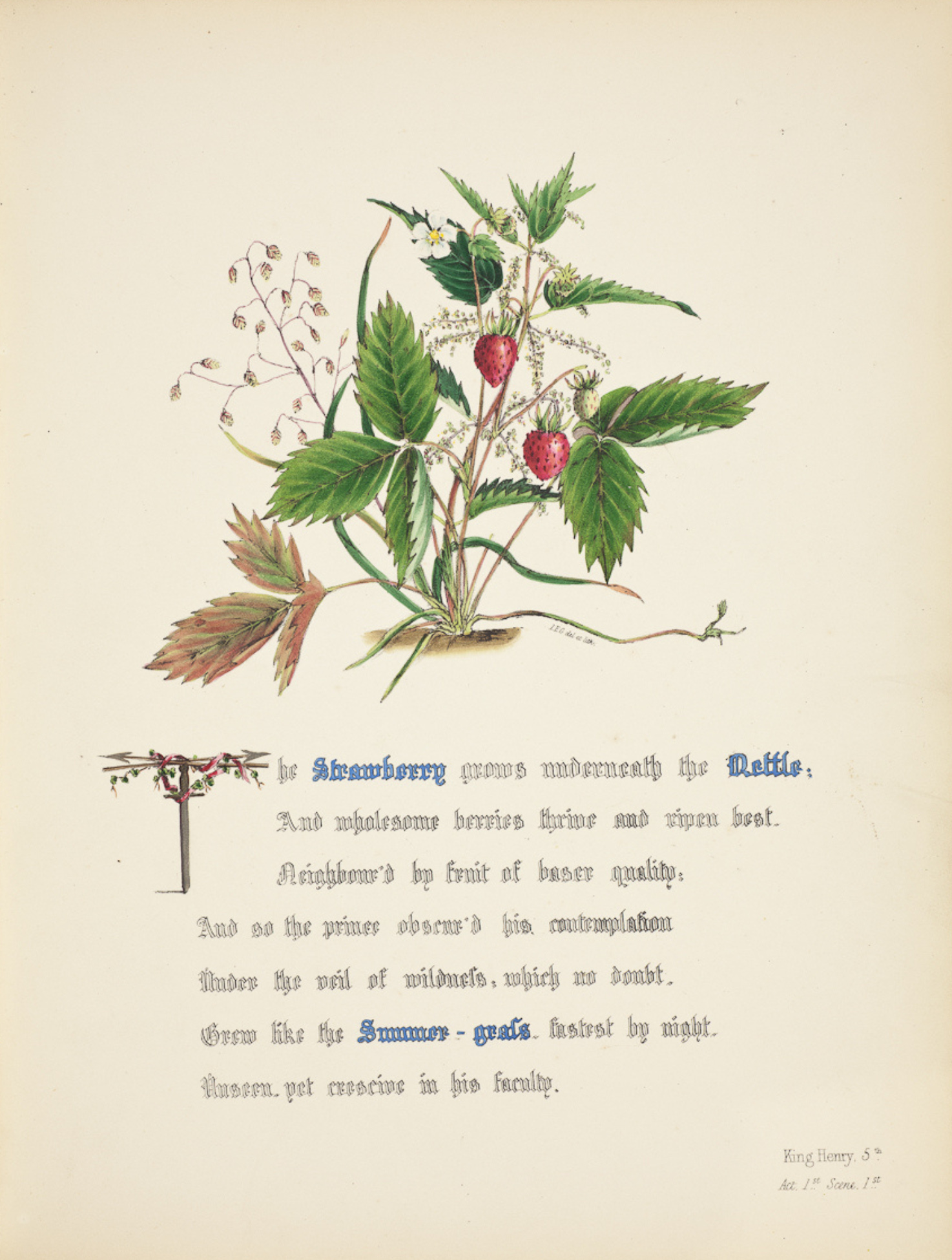 The Shakespeare Garden: Jane Elizabeth Giraud's Posies and Elizabethan ...