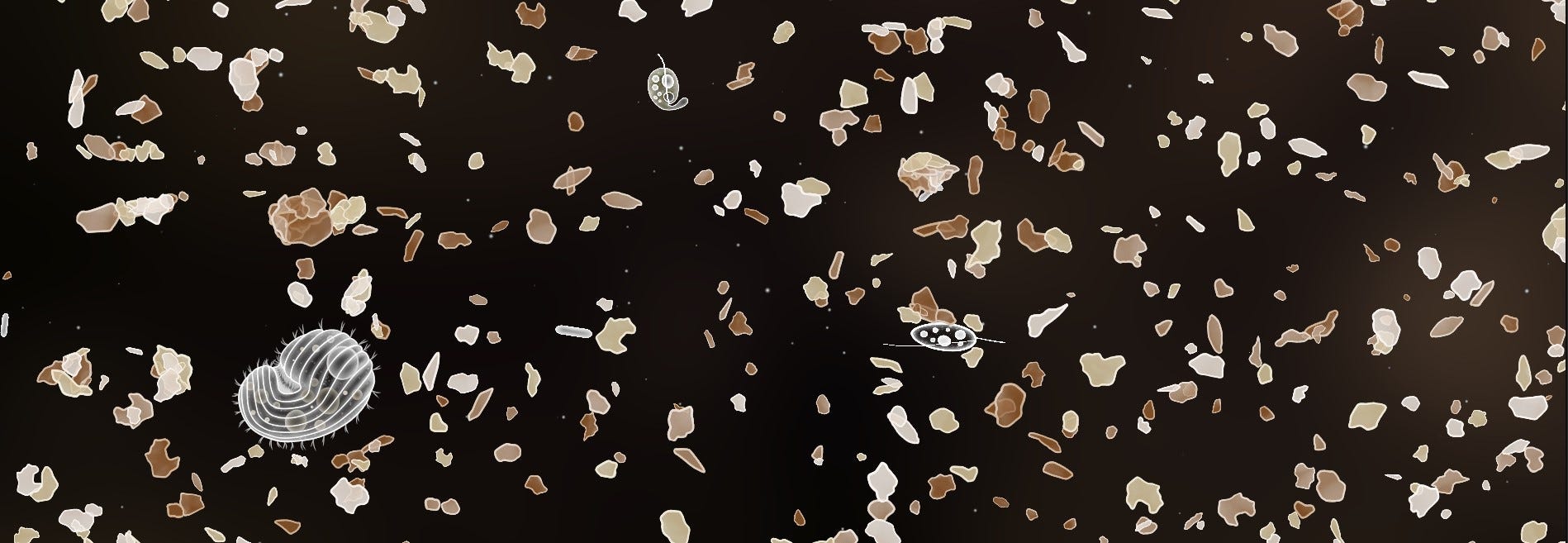 More Details About My Microbe Game - by Kate Solbakk