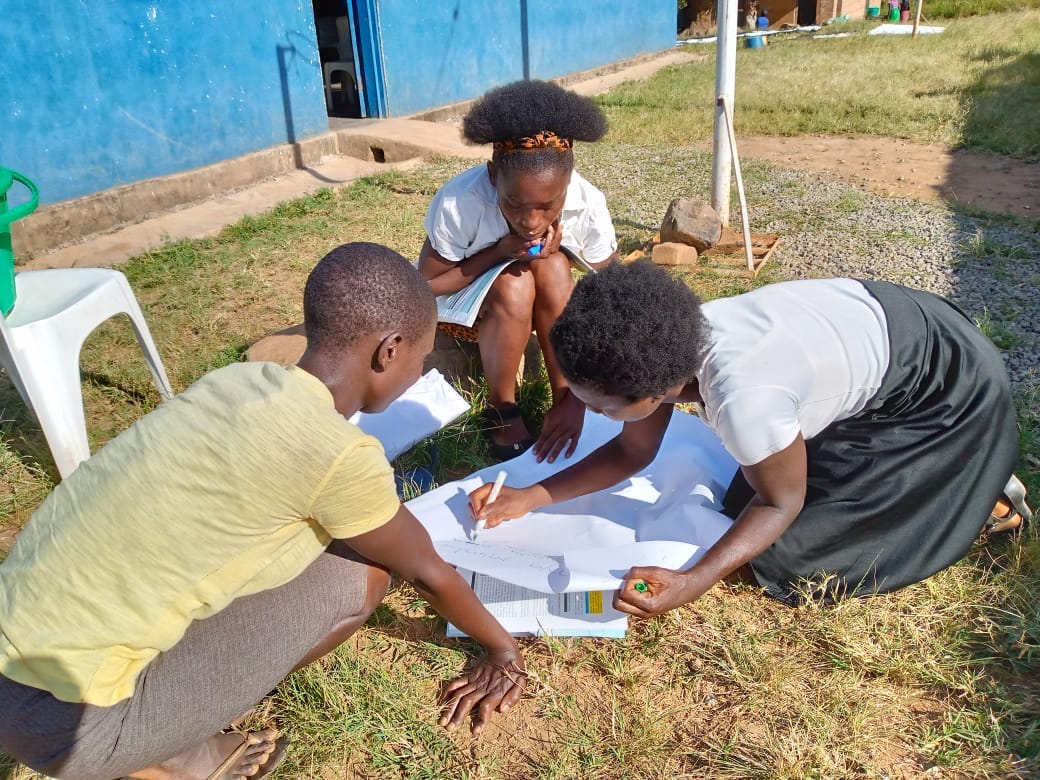 Empowering Youth with SRHR Information: N’zatonse Project by ...