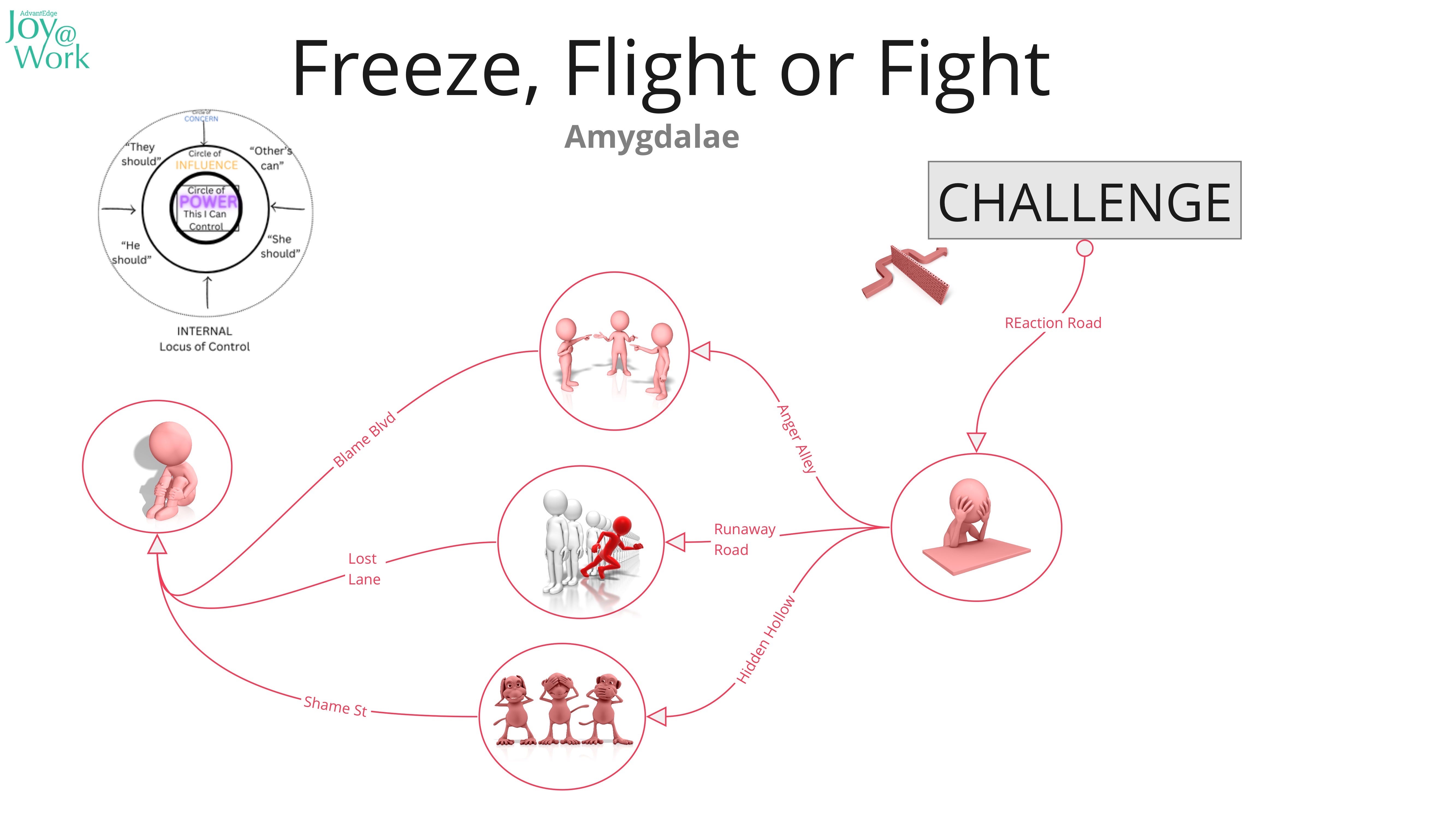 This is Your Brain on Fear, Stress, Anxiety and Depression