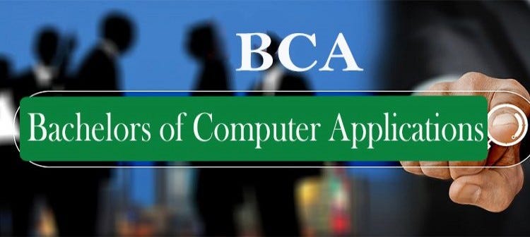 WHAT ARE THE CAREER ROLES AVAILABLE FOR BCA (PROFESSIONAL) STUDENTS?