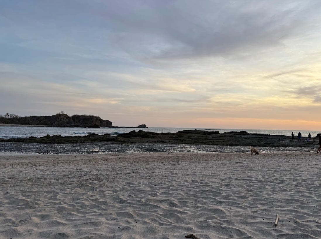 The Blue Mind effect: 7 lessons from the ocean