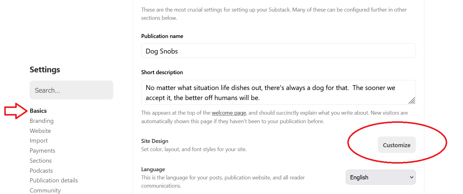 You Might Not Know How Useful Substack Post Tags Are