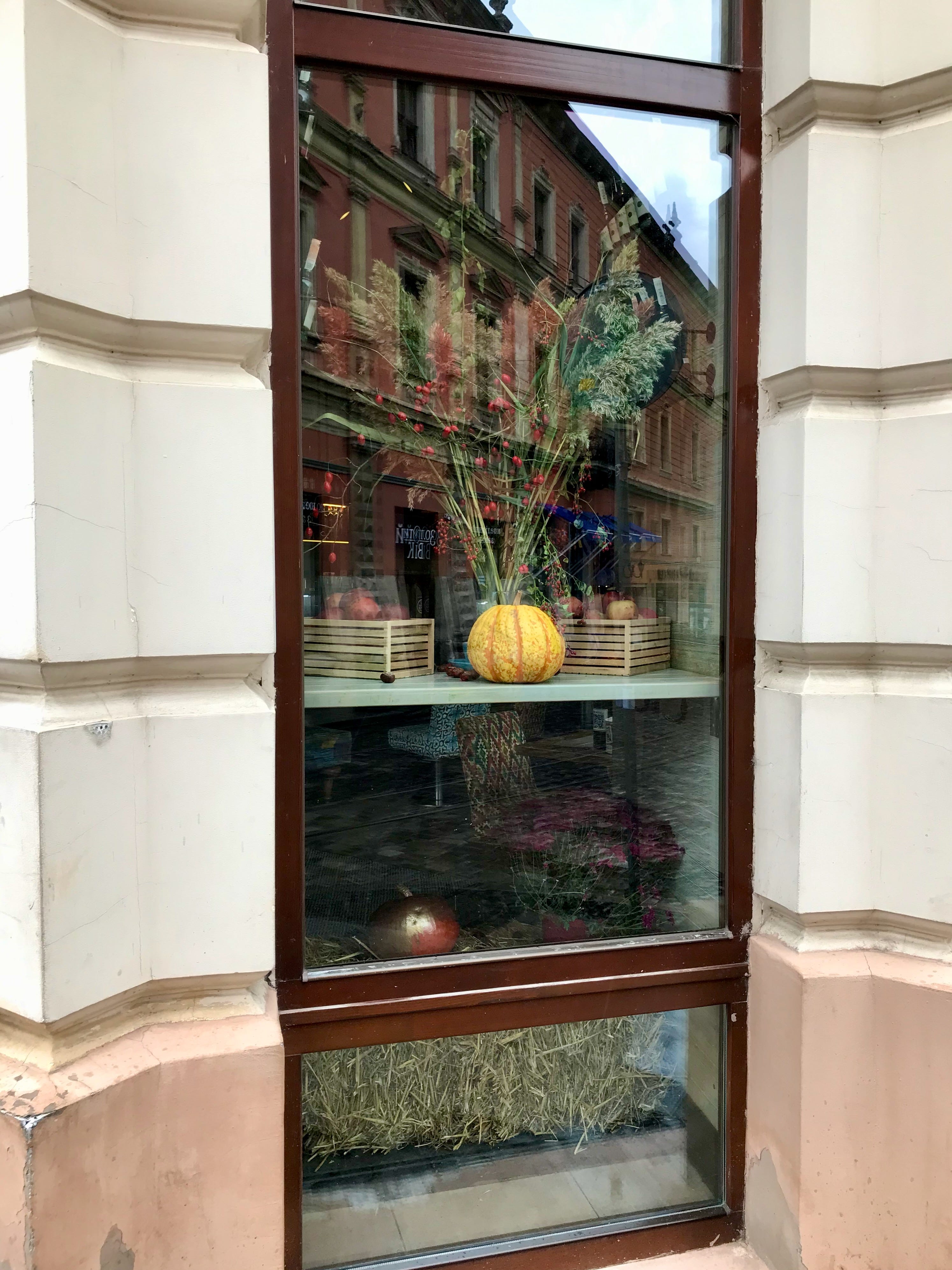 Lviv - Through the Window - by Marko - Snapped