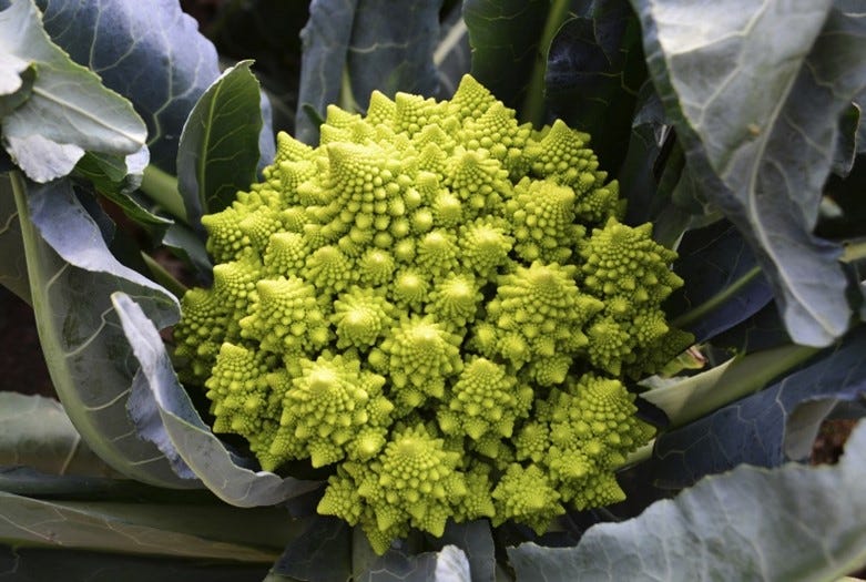 Patterns are everywhere - by Nava Israel