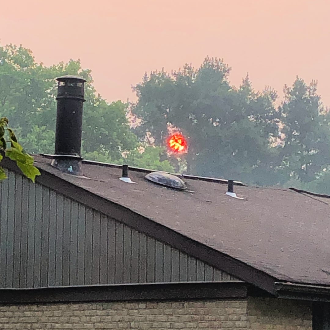 I Am Afraid to Talk About the Planet - by Angie Alt