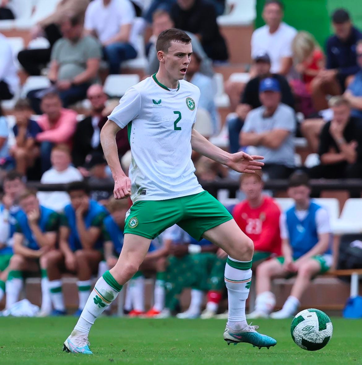 Green Shoots round-up featuring Kyle Fitzgerald, Ronnie Gorman and ...