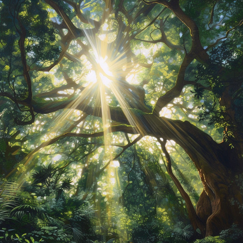 It's Giving Trees: Overstory Forest Canopies